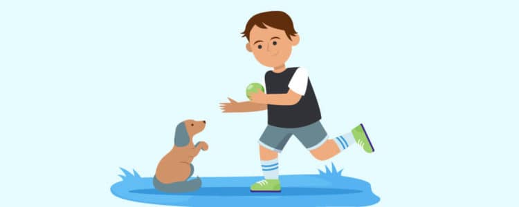10 Top Training Tips And The Best Training Games To Play With Your Dog