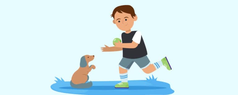 10 Top Training Tips And The Best Training Games To Play With Your Dog