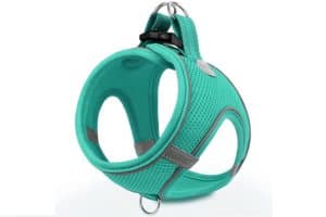 8 Best Dog Harnesses for Australian Shepherds