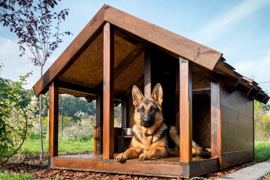 Best Dog Houses For German Shepherds: Top Picks and Reviews | Anything ...