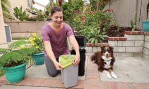 7 Best Dog Poop Trash Cans & Disposal Containers | Anything German Shepherd