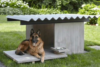 Best Dog Houses For German Shepherds: Top Picks and Reviews | Anything ...