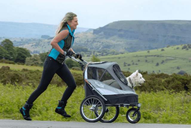 What Are the Best Dog Strollers for Jogging in 2022 | Anything German ...