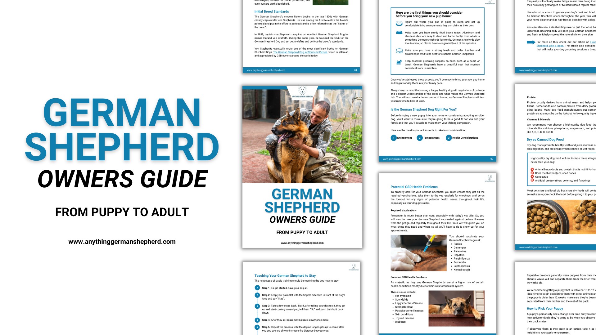 6 Must-Have German Shepherd Dog Training Books 2022