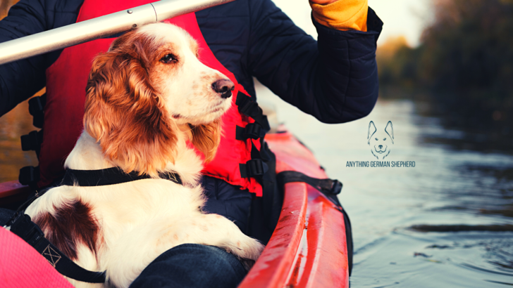 7 Best Inflatable Kayaks for Dogs 2022 (Expert Tips & Picks)