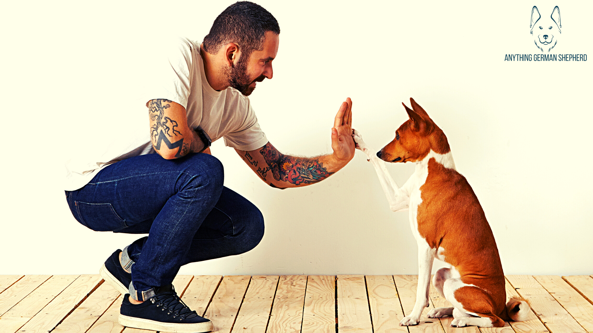 ¿Por Qué Mi Perro De Repente Me Ignora? – (17 Razones Explicadas) | 2025