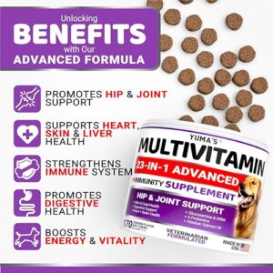 Dog Multivitamin Chewable with Glucosamine - 170 Treats | Anything ...
