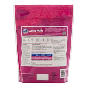 Lamb Milk Replacer with Probiotics, 3.5lbs | Anything German Shepherd