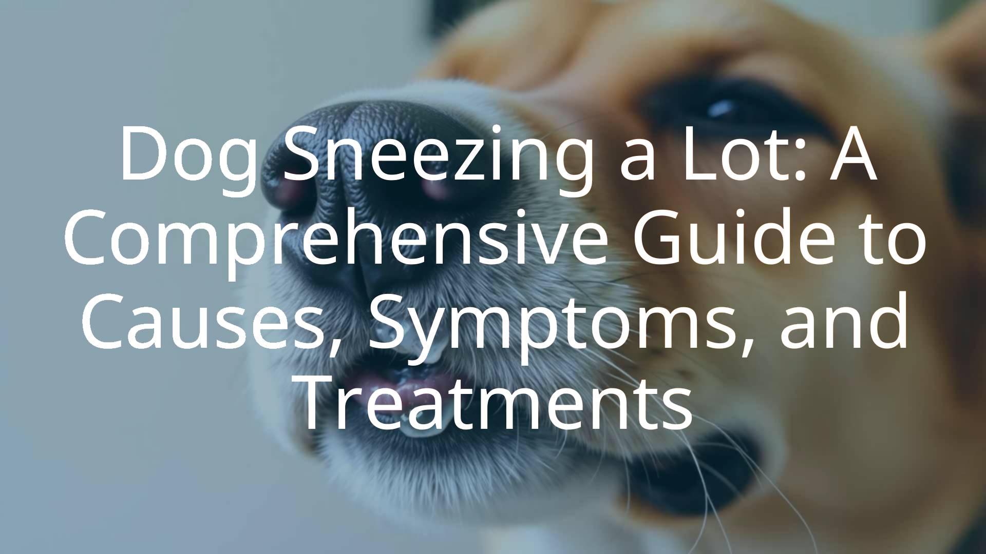 Dog Sneezing a Lot: A Comprehensive Guide to Causes, Symptoms, and ...